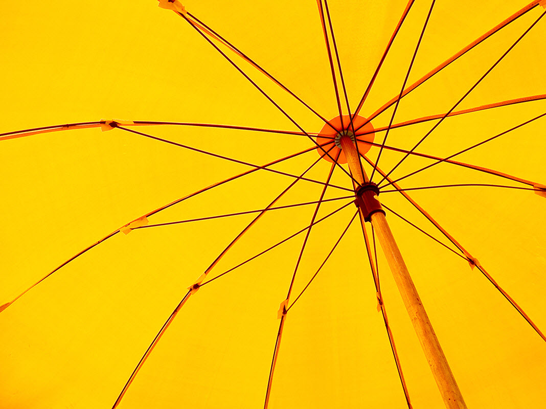 Sun Life Go Term Life Insurance | Sun Life Canada